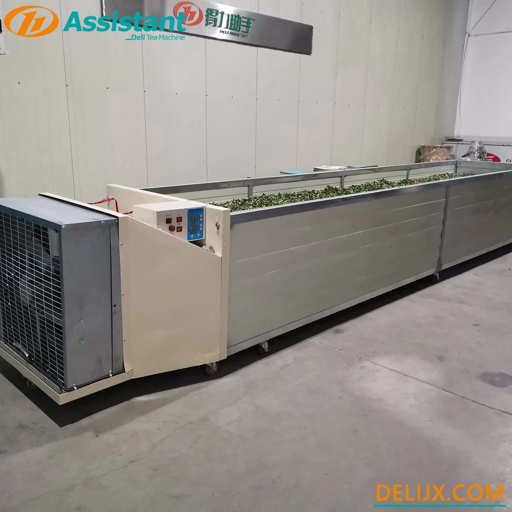 Green/Black Tea Leaves Withering Process Trough Machine For Tea