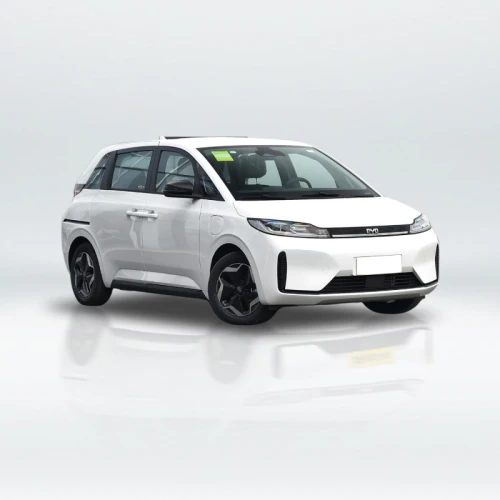 Shenzhen BYD factory,car model BYD D1 2022 Standard ,Original brand new ...