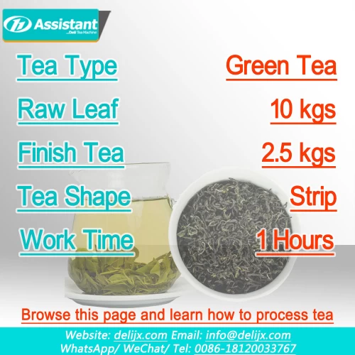 Cheapest Complete Set Green Tea Processing Machine