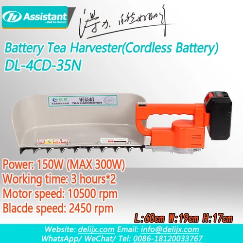 Tea Harvesting with the 18V 5.2Ah Lithium Battery Operated Brushless ...