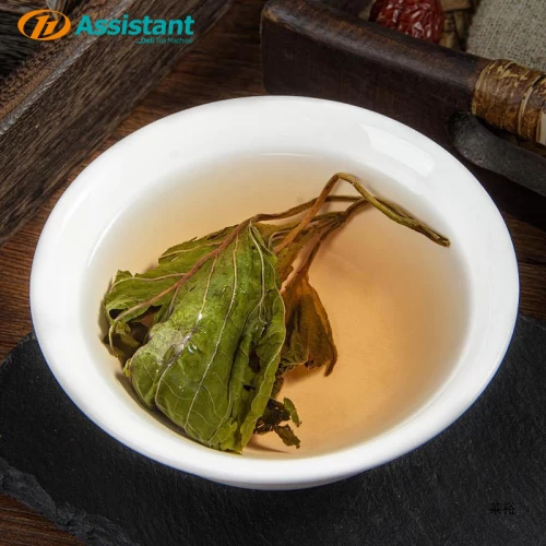 Pemrosesan teh ortodoks dengan mesin modern