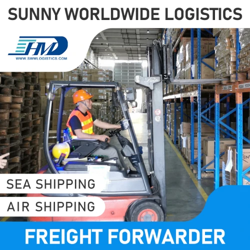 Swwls Ddp Shipping Freight Forwarding Agent Sea Forwarder From China to ...