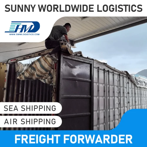 Swwls Sea Freight Forwarder China to France DDP Logistics Shipping ...