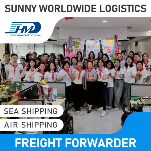 Swwls Ddp Shipping Freight Forwarding Agent Sea Forwarder From China to ...