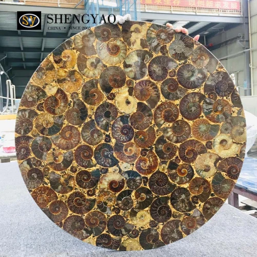 Customized Conch Fossil Table Top,Round Semi Precious Stone Table Top ...