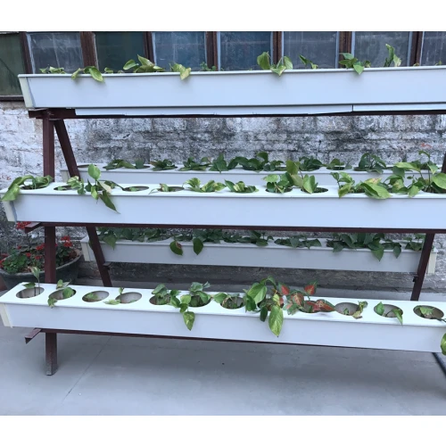 PVC Gutter growing system for greenhouse