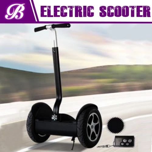 electrical chariot of Four-Wheel Stand Up Scooter/Segway From Chinese ...
