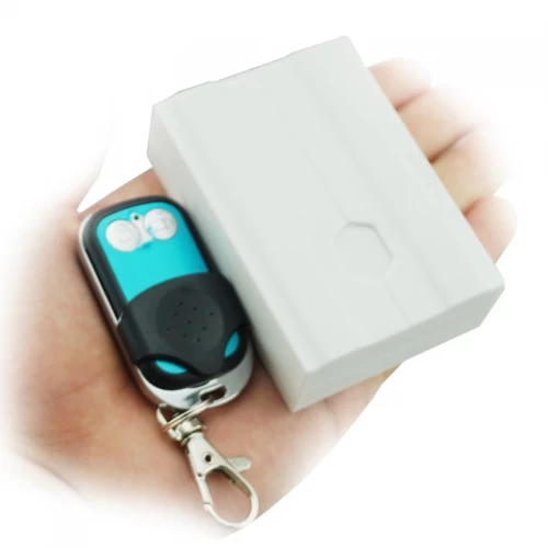 EA-11-2-12 / 24 Two Channel Remote Control