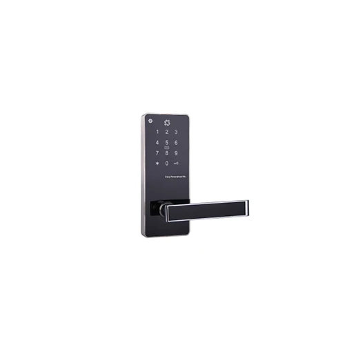 bluetooth keypad door lock factory,wholesale smart door lock,TT lock ...
