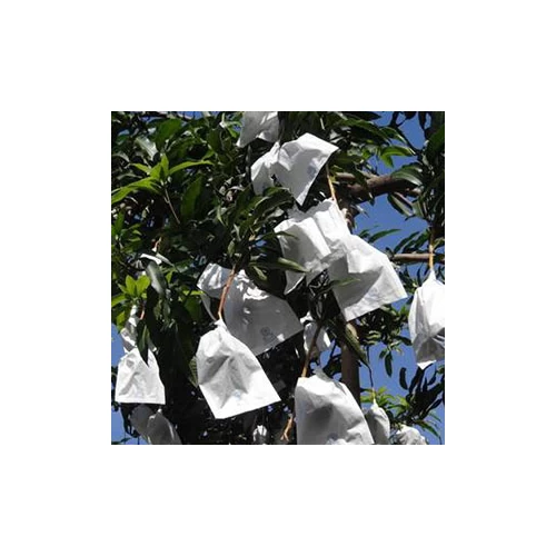 Mango Bags Supplier, Mango Cover Manufacturer, Mango Protection Cover ...