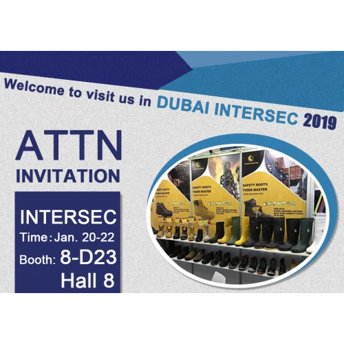 2019 Dubai Intersec Invitation