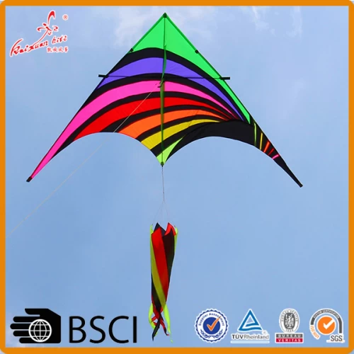 outdoor fun sports toy triangle kite with flying tools