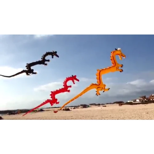 inflatable dragon kite outdoor sport soft kite from the kite factory